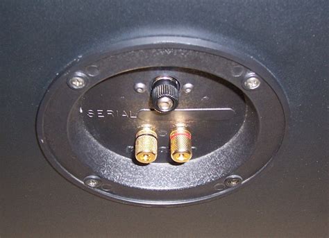 Sda Interconnect — Polk Audio Forum