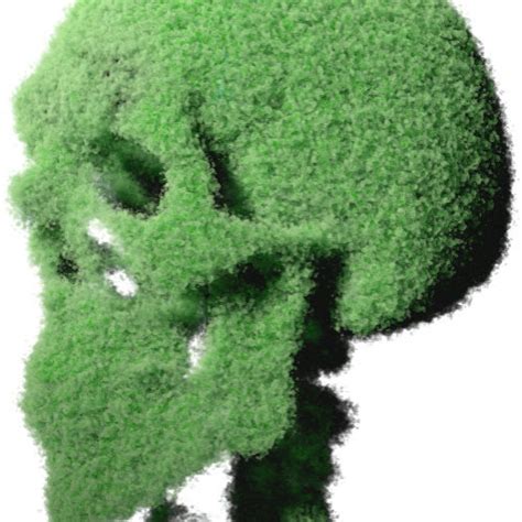 Translucent Volume Shading Download Scientific Diagram