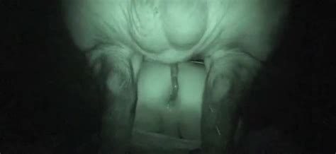 Pig Mounting Creampie