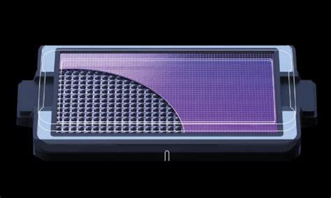 Butterfly Network Forest Neurotech Ink 20m Agreement To Develop Brain Implantable Powered By