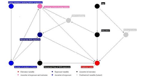 Directed Acyclic Graph Representing The Causal Assumptions Used For Download Scientific Diagram