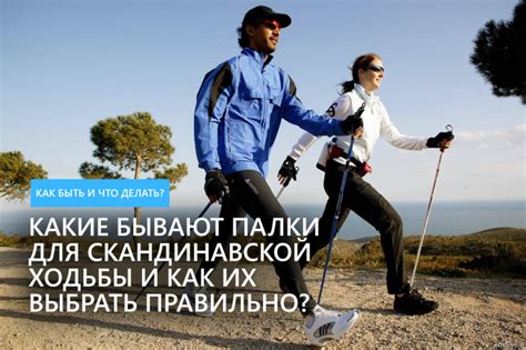 Какие бывают палки для скандинавской ходьбы и как их выбрать правильно ...