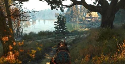 Did They Remove The Mod Menu On Next Gen R Witcher3