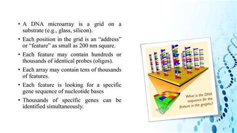 Dna Microarray Technology For Principle Of Drug Discovery Pptx