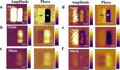 Relaxation Of Electric Field Induced Ferroelectric Polarization In Download Scientific Diagram