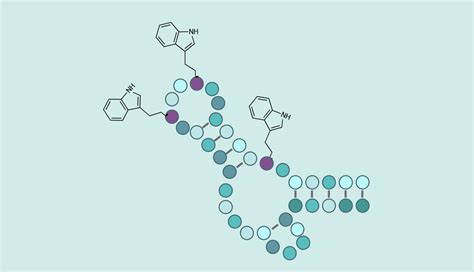 ‘click Chemistry Wins Nobel Prize In Chemistry — Apis Assay Technologies Ltd