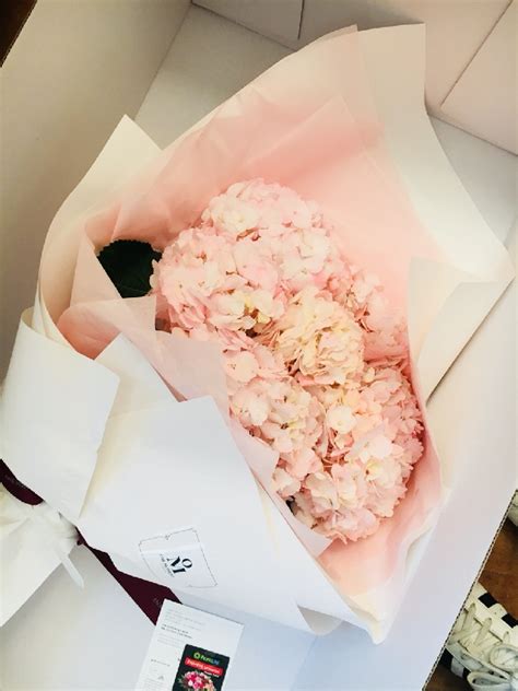 대형꽃다발 핑크수국 원모먼트