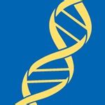 Siteman Cancer Center The Cancer History Project