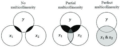 2 Examples Of Multicollinearity Source Own Representation Based On