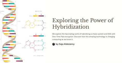 Exploring The Power Of Hybridization