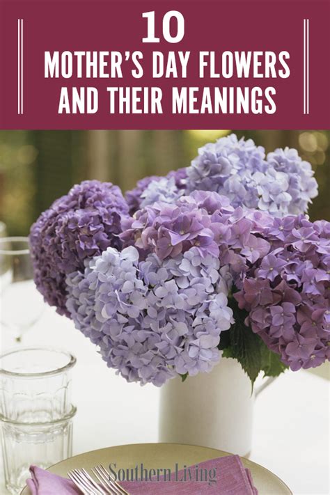 What Flowers Represent Mothers At Lauren Murphy Blog