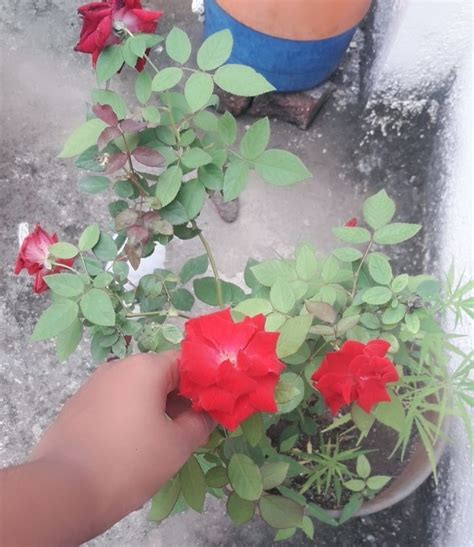 Sangam Yadav Posted On Linkedin