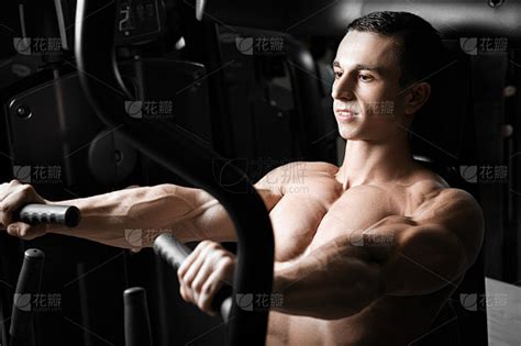 肌肉运动员健美模型