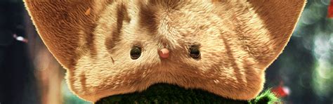 Maya 2024 Area Japan Autodesk