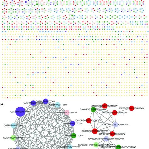 visualization of clustered sequences colored circles represent
