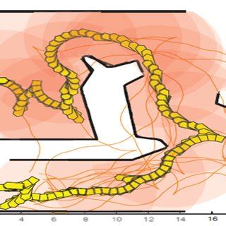 Smooth Path Generation A During Path Planning And B Post Planning Download Scientific
