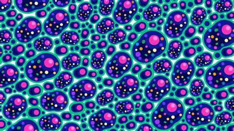 How Cells Communicate For Autonomic Response