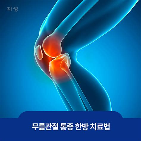 한방의학백과 장마철 무릎 통증 관리는 이렇게 하세요
