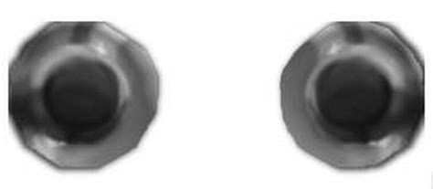 Dominus Roblox T Shirt Tìm Hiểu Chi Tiết Đặc Điểm Và Cách Sử Dụng