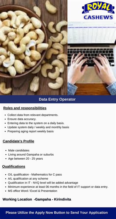 Data Entry Operator 2025