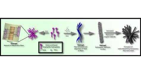 Self Assembly Of Peptide Amphiphile Forming Helical Nanofibers And In Situ Template Synthesis Of