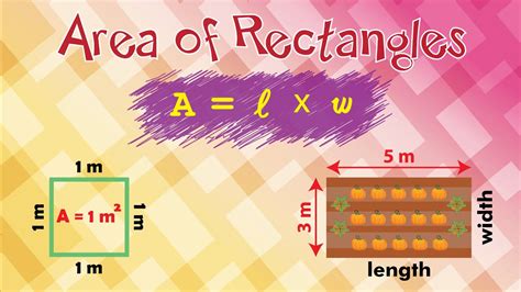 Rectangles In Real Life Examples