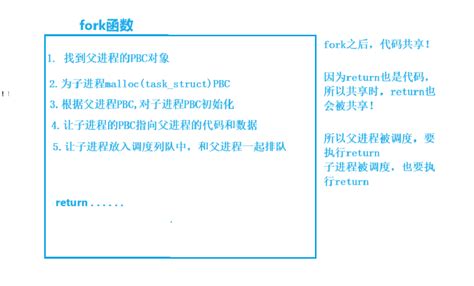 Linux进程——进程的创建fork的原理linux Fork Csdn博客