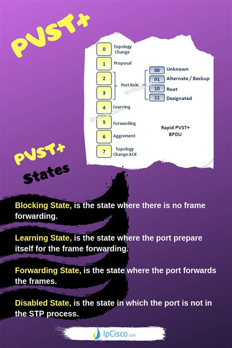 Per Vlan Spanning Tree Artofit