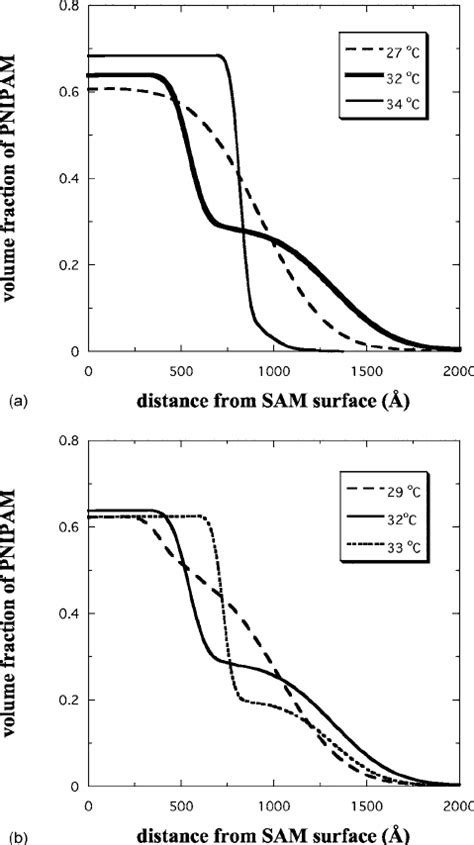 ͑ A ͒ Best Fit Segment Concentration Profiles For 209s At 27 32 And Download Scientific ͑ A ͒ Best Fit Segment Concentration Profiles For 209s At 27 32 And Download Scientific