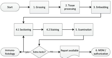Histopathology Processes Download Scientific Diagram