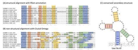 热点综述 Rna二级结构预测和rna药物发现的机器学习和深度学习综述 知乎 热点综述 Rna二级结构预测和rna药物发现的机器学习和深度学习综述 知乎