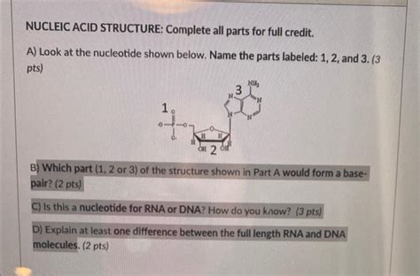Solved NUCLEIC ACID STRUCTURE Complete All Parts For Full Chegg