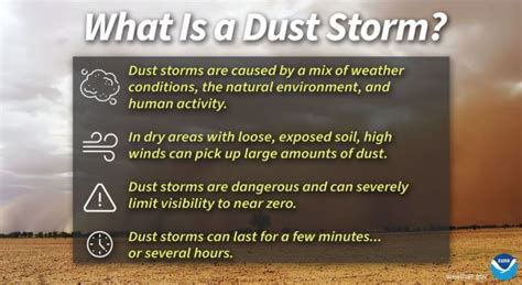 Social Media Dust Safety