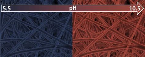 Colorimetric And Fluorimetric Ph Sensing Using Polydiacetylene Embedded