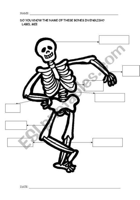 Bones ESL Worksheet By Vallina