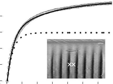 Evolution Of Refractive Index Modulation In Darkness Exposure Time And
