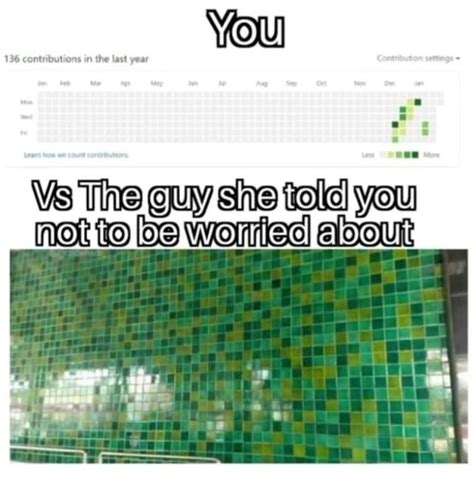 yes i am lazy and stupid r programmerhumor