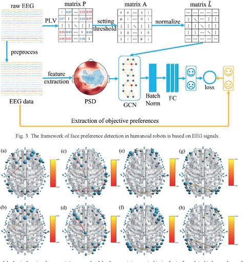 Figure 3 From Exploring Humanoid Robot Face Preference Using Brain