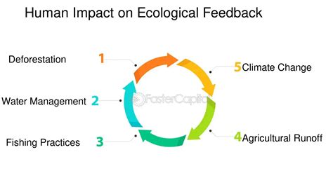 Positive Feedback Loop Animal