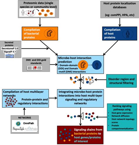 Graphical Representation Of A Typical Integrated Workflow Predicting