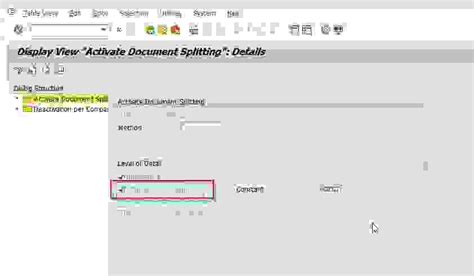 Document Splitting In New General Ledger