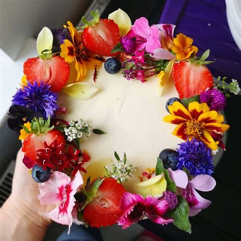 Edible Flowers For Cake At Justin Conway Blog