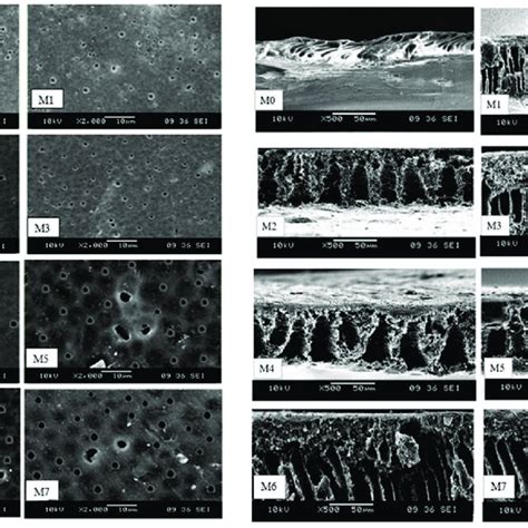 The Sem Micrographs Of Psf Mmms Top Surface At 2000× Magnification And