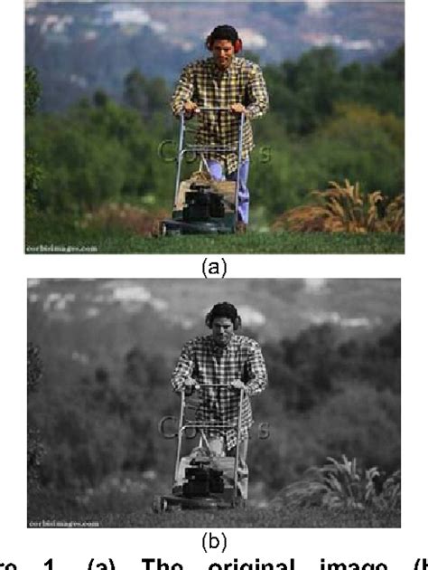 Figure 1 From Fast 3d Image Depth Map Estimation Using Wavelet Analysis