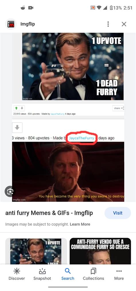 New Memes For The New Sub R Takedownthefurrys