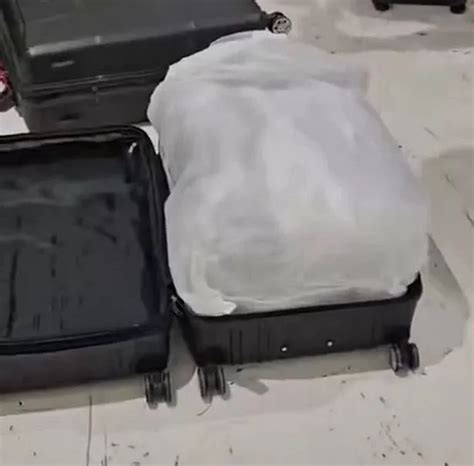 Couple Pick Up Wrong Suitcase On First Holiday And Rush To Cops After Opening It Daily Record