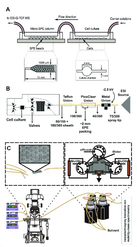 A Schematic Of Integrated Chip Based Solid Phase Extraction Placed Download Scientific