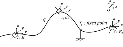 Control Points And Fixed Points Of A Deformable Linear Object