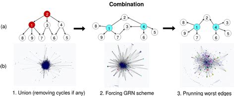 Diagram Explaining The Combination Steps A Simplified Example Download Scientific Diagram