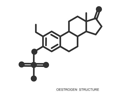 Estrogen Molecule Structure Chemical Structure Of Estrogen 17